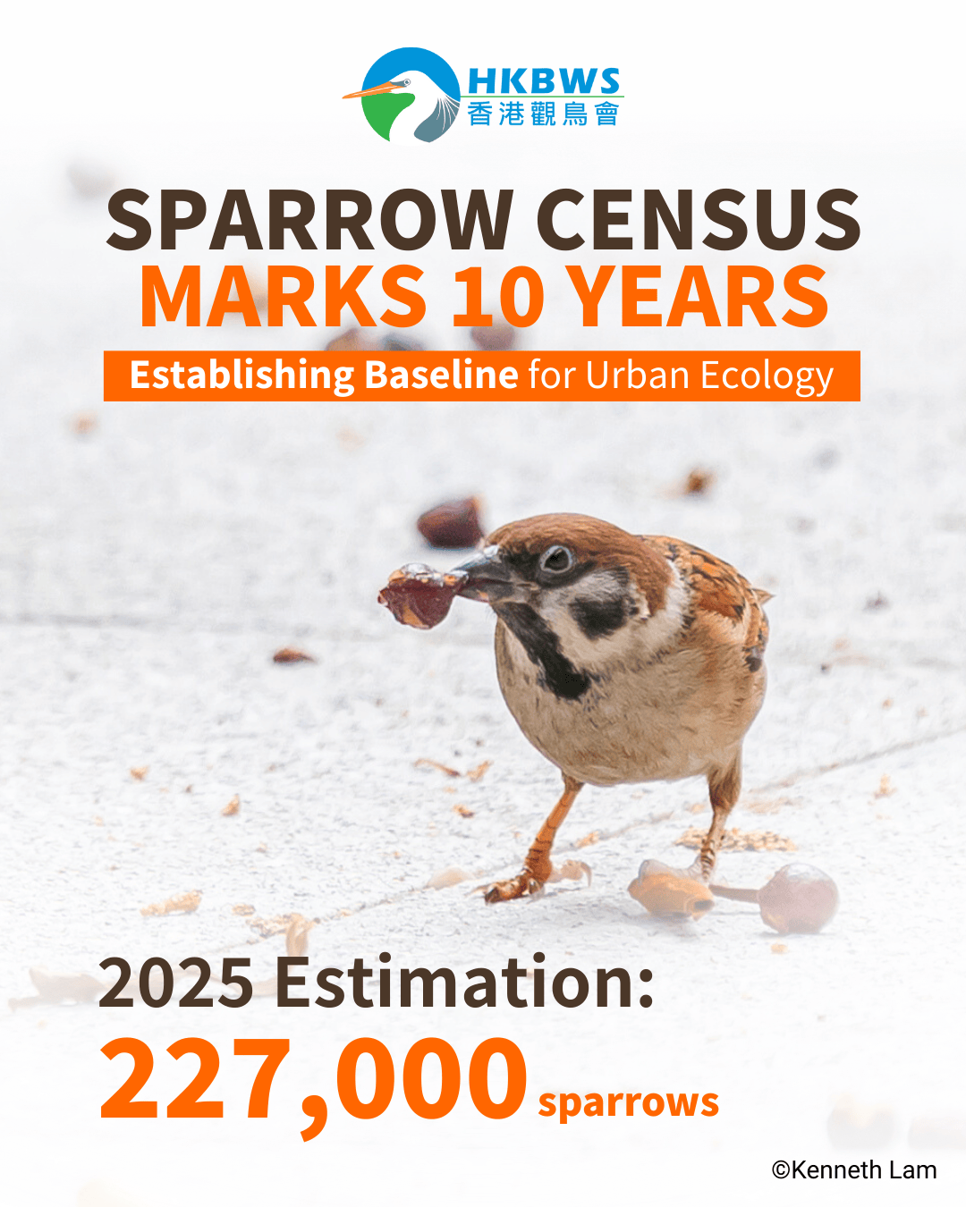 [Hong Kong Sparrow Census 2025] Census Marks 10 Years: Establishing ...